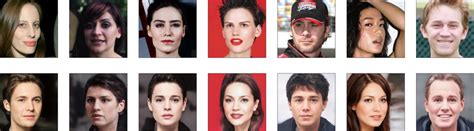 Stylegan Inversion On Images In The Support Set The Macro Structure