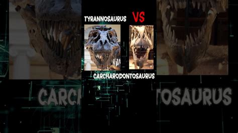 Tyrannosaurus Rex Vs Carcharodontosaurus