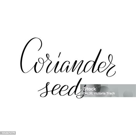 영감을 주는 필기 브러시 레터링 벡터 서예 일러스트레이션 건강한 생활방식에 대한 스톡 벡터 아트 및 기타 이미지 건강한 생활방식 고수 그리기 Istock