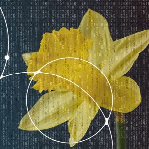 GitHub OpenDFDL OpenDFDL Github Io Web Site For OpenDFDL