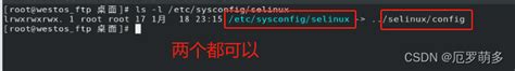 从零学习linux操作系统第十八部分内核级加强型防护插件 csdn博客