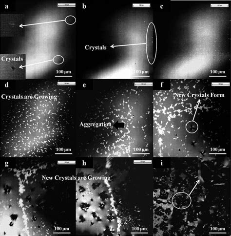 The Crystallization Process Of Slag With Basicity Of 08 A 68777 S Download Scientific