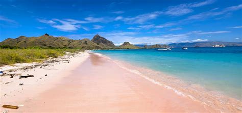 Pink Sand Beach Komodo