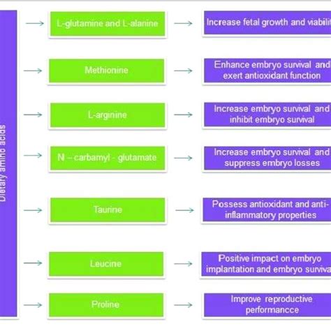 Regulation Of Energy Homeostasis Reproductive Function By Nutrient Download Scientific