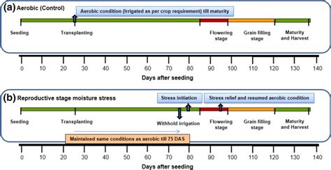 Protocol To Impose Moisture Stress A Aerobic As Normal B Download Scientific Diagram