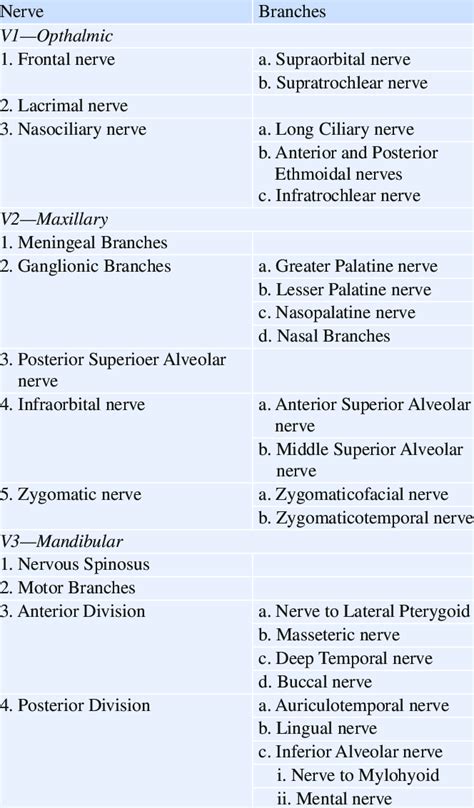 Branches Of The 3 Divisions Of The Trigeminal Nerve Download