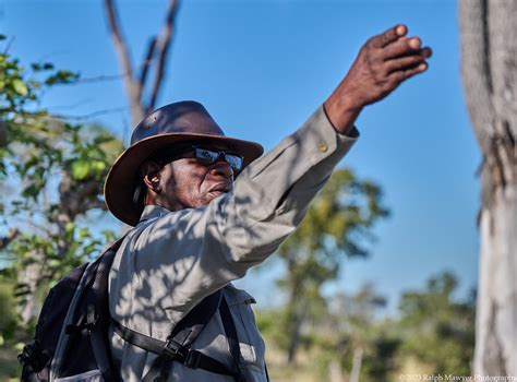 Botswanna Africa 2023 Okavango Delta Camp And Lodge Life Ralph Mawyer Photography
