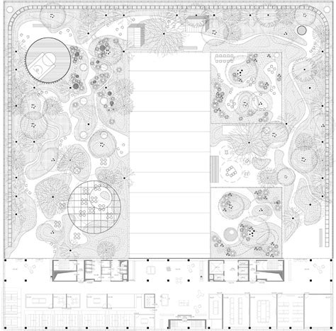 Landscape Diagram Of A Garden With Lots Of Plants