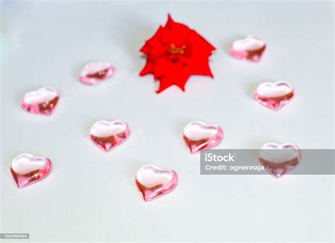 흰색 배경에 유리 핑크 하트와 다양한 마시멜로와 작은 피는 빨간 장미 0명에 대한 스톡 사진 및 기타 이미지 0명 기념일 꽃 나무 Istock