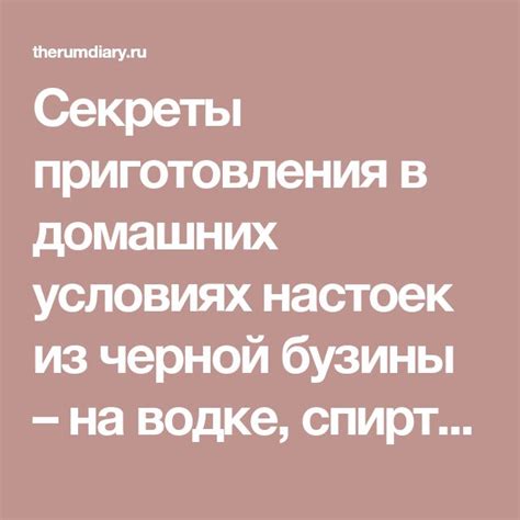 Секреты приготовления в домашних условиях настоек из черной бузины на водке спирте роме с
