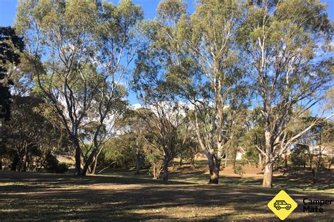 Riverbank Campground Great Ocean Road Victoria Australia