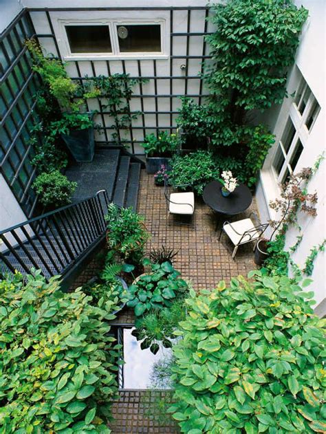 Basement Garden Ideas