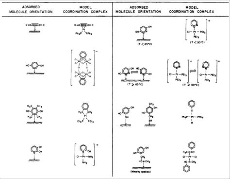 Molecular Coordination And Organometallic Compounds As Models For The
