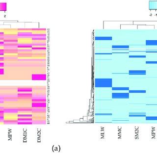 Heat Map Plots Clusters Of B Rotunda Samples Based On Their