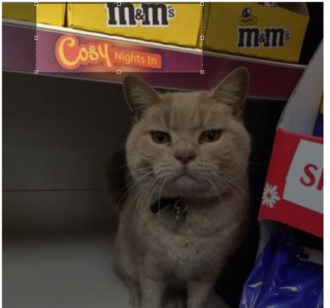 Размыть замазать затереть заретушировать часть область картинки