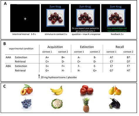 Figure 1 From Cortisol Decreases Activation In Extinction Related Brain Areas Resulting In An