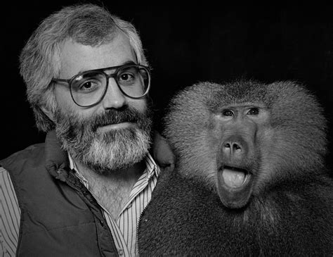 The American Society Of Cinematographers The Fly — New Buzz On An…