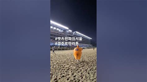 경마장트랙 2바퀴 36km 렛츠런파크서울 경주로마라톤다녀왔습니다 8cm 모래위를 달리는 기분 끝내줍니다 경주로마라톤 매일달리는악빠 매일달리기1246일 Youtube