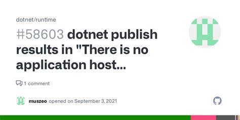 Dotnet Publish Results In There Is No Application Host Available For