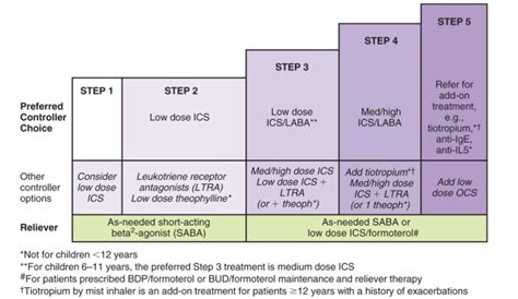 Asthma Medications And Treatment Diagram Quizlet