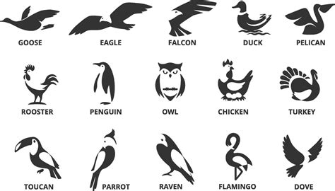 Negative Space Bird Wild Eagle And Falcon Raven Silhouette And Owl
