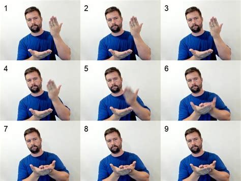 prove asl dictionary