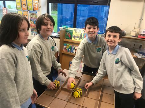 Bee Bots 🐝🐝🐝🐝🐝🐝🐝🐝