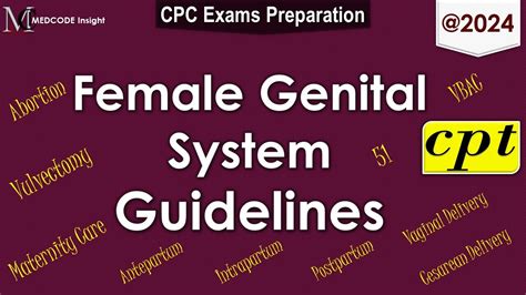 CPT Female Genital System Guidelines YouTube