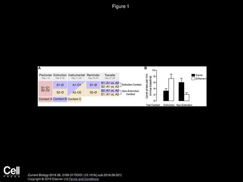 Extinction Generates Outcome Specific Conditioned Inhibition Ppt Download