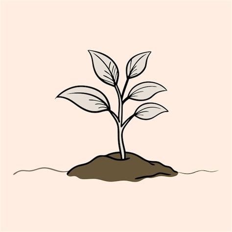 Premium Vector A Drawing Of A Tree With A Black Outline Of A Tree