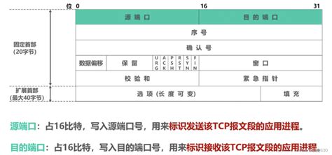 【湖科大教书匠】计算机网络随堂笔记第5章（计算机网络运输层） tcp 拥塞控制 湖科大教书匠 csdn博客