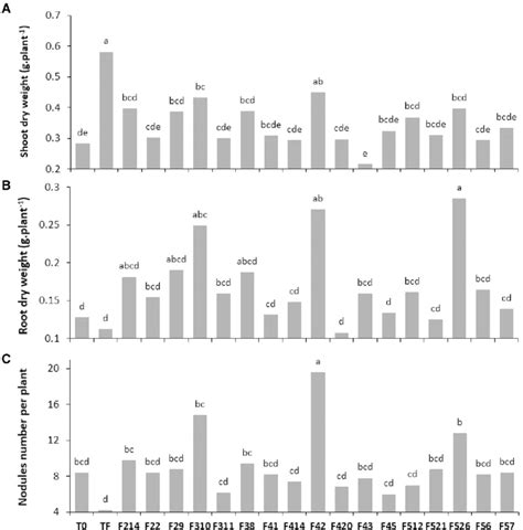 Effect Of Bacterial Inoculation On Shoot Dry Weight A Root Dry