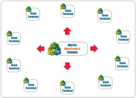 Copy Trading Easy Profit Or A Big Risk X Binary Options