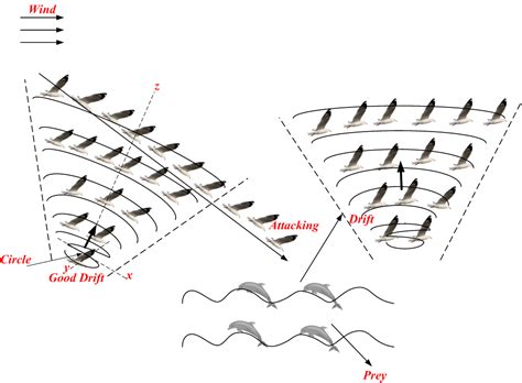 A New Seagull Optimization Algorithm To Solve Numerical Optimization