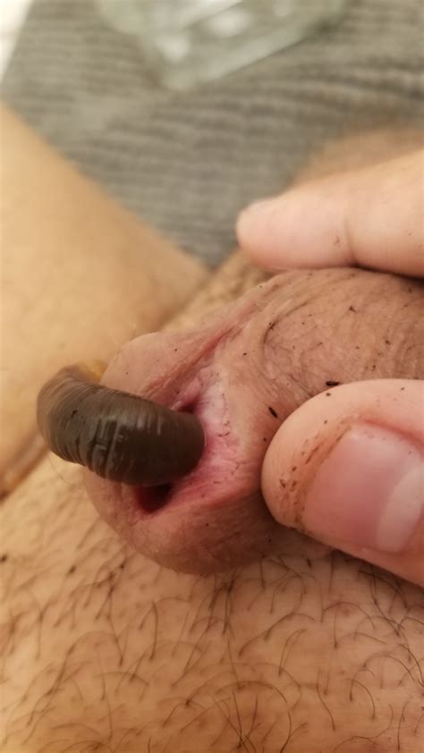 20180906 010026 Insects Bugs Worms Maggot Snail Sex MOTHERLESS COM