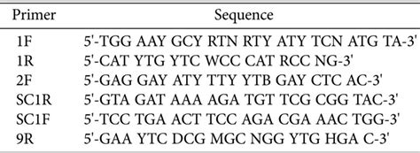 Primers For The Cloning Of β Glucan Synthase Gene In Sparassis Crispa