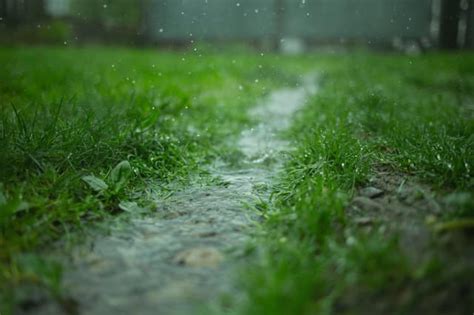 Free Weather Api Meteomatics