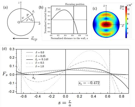 Analytical Model For Inertial Focusing Effect In Curved Pipes A