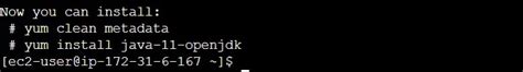 How To Install Openjdk 11 On Amazon Linux 2 Cloudkatha