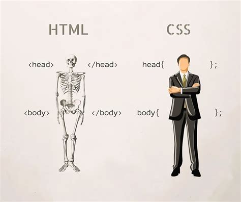 shuvo sarkar on linkedin html css webdevelopment programming coding