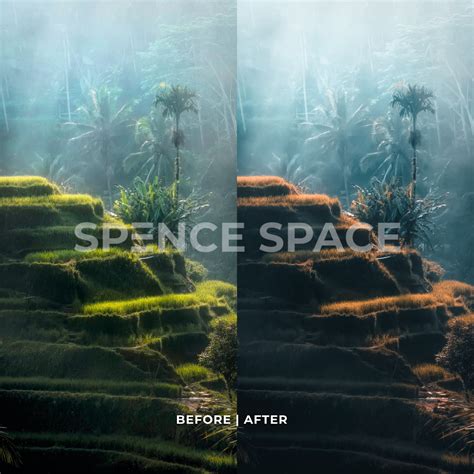 峇厘島渡假風情色調 Lightroom濾鏡 Lr預設 Ig網紅sean Ingram版面調色 Lut風格檔 Pr達芬奇 蝦皮購物