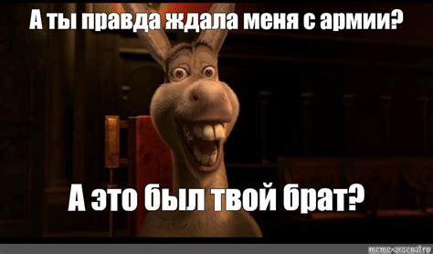 Картинка осла из шрека уже приехали - Фотоподборки 1