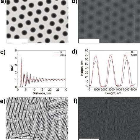 Self Assembly Of Gold Nanoparticles On Polynipam Colloidal Arrays