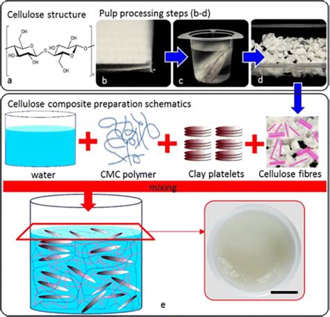 A Cellulose Structure B D Cellulose Processing E Schematics Of Mixing Download Scientific