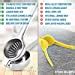 Amazon.com: Zulay Lemon Squeezer Stainless Steel with Premium Quality ...