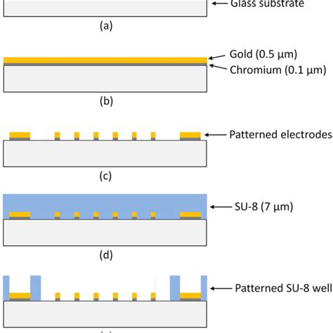 Schematic Of A Bio Impedance Measurement Of Tissues And B Download Scientific Diagram