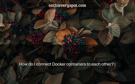 How Do I Connect Docker Containers To Each Other On This Very Spot