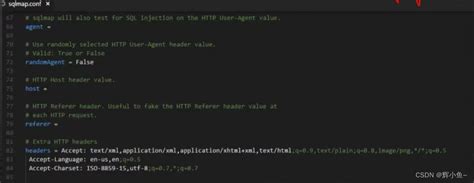 Sqlmap 22052304sqlmap Header Csdn博客