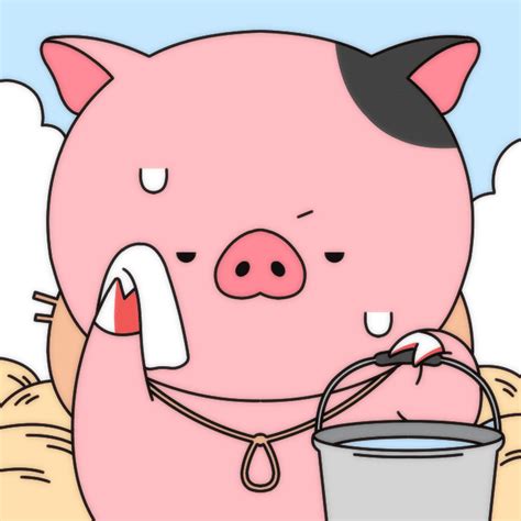 행복한 돼지 테스트 결과
