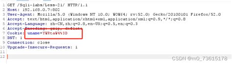 Sqli Labs靶场第21、22关详解 Sqli Labs Less 21、22 自动化注入 Sqlmap工具注入sqlmap跑base64加密sqli Labs21 Csdn博客